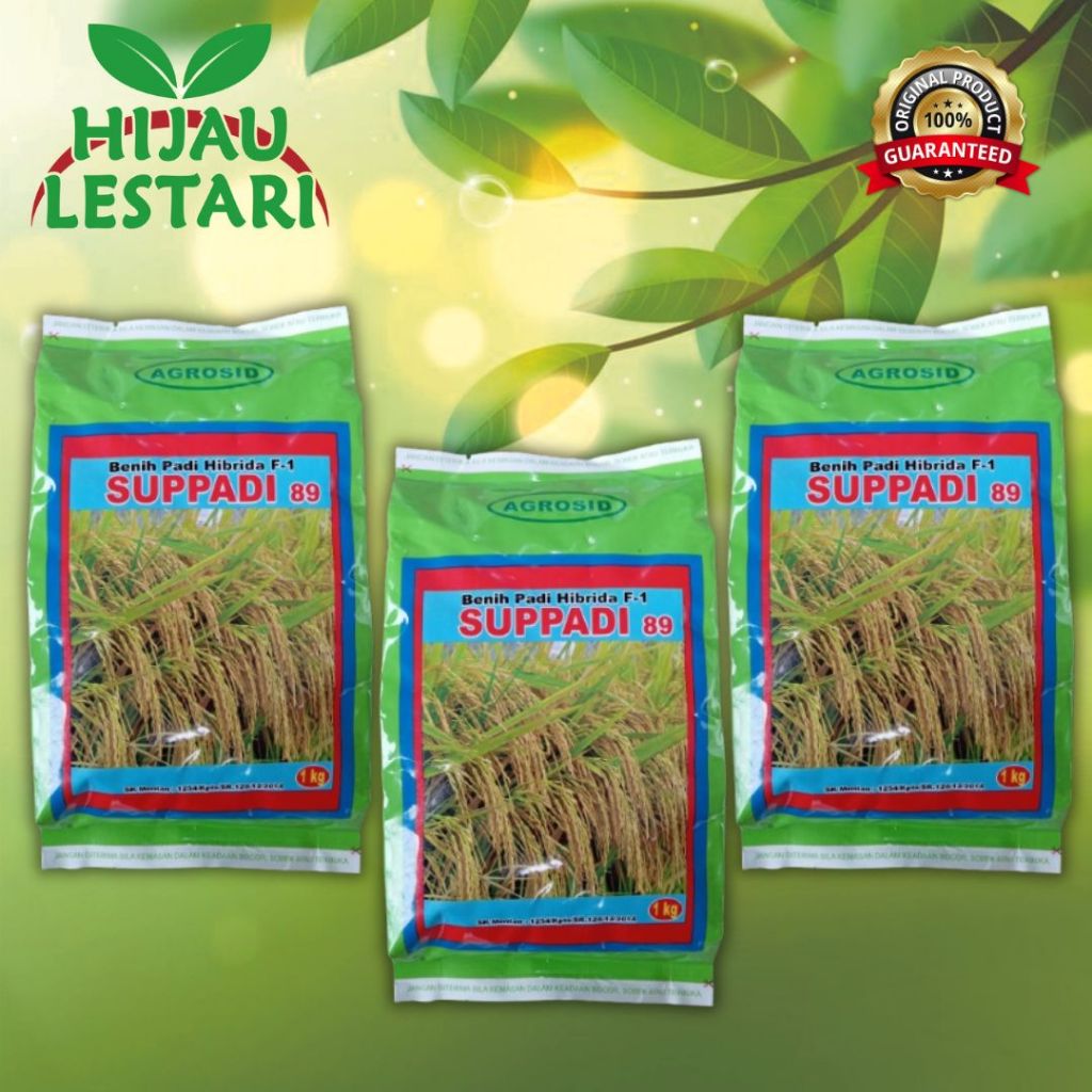 Jual SUPADI 89 1kg - Benih Padi Hibrida F1 - ORIGINAL AGROSID - Padi ...