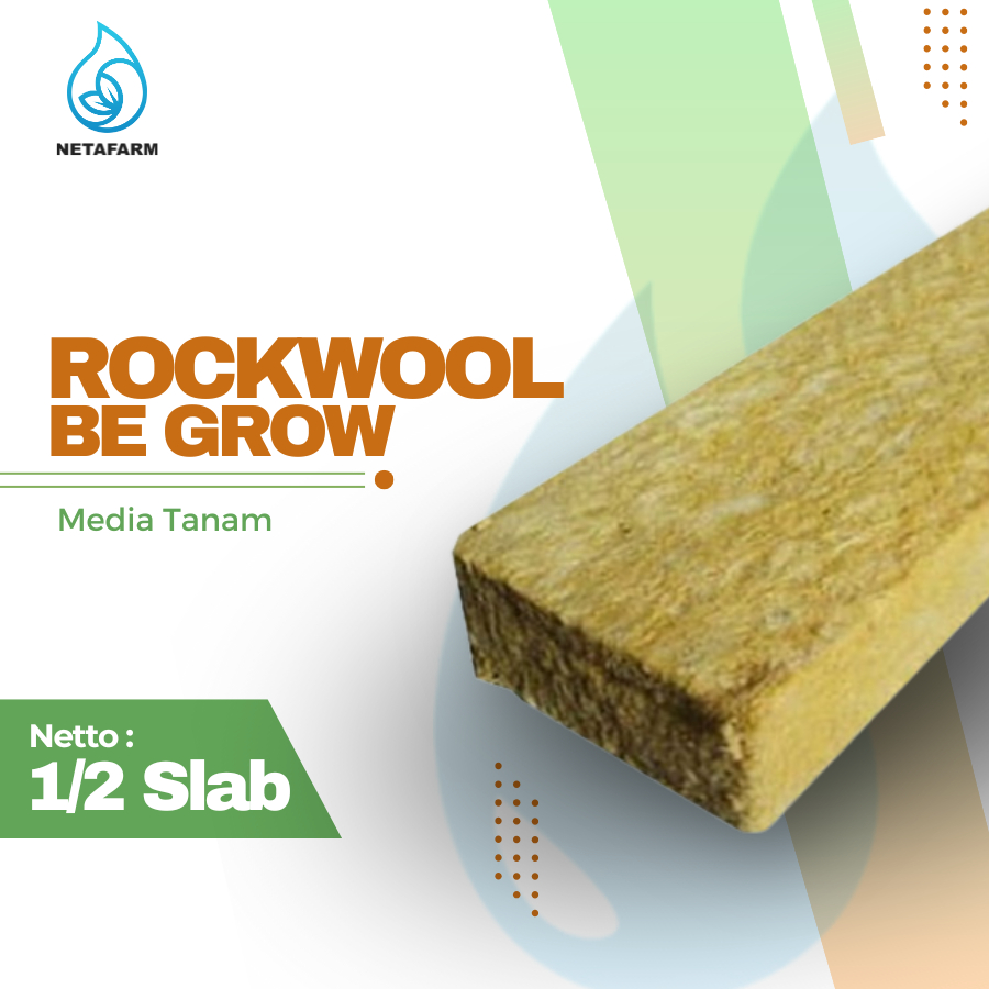 Jual Rockwool Be Grow 1/2 Slab 50cm x 15cm x 7.5cm | Shopee Indonesia