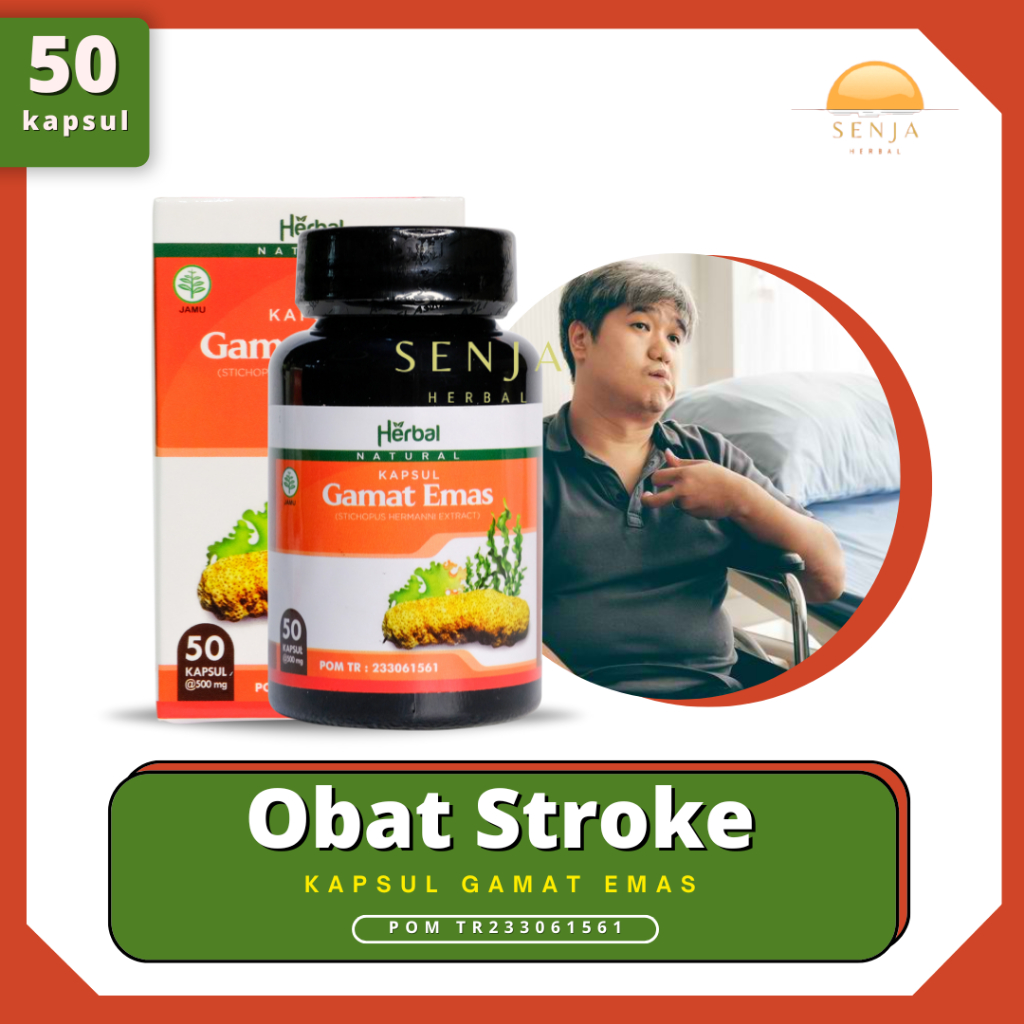 Jual Obat Stroke Ringan/Berat Menahun, Obat Herbal Atasi Stroke ...