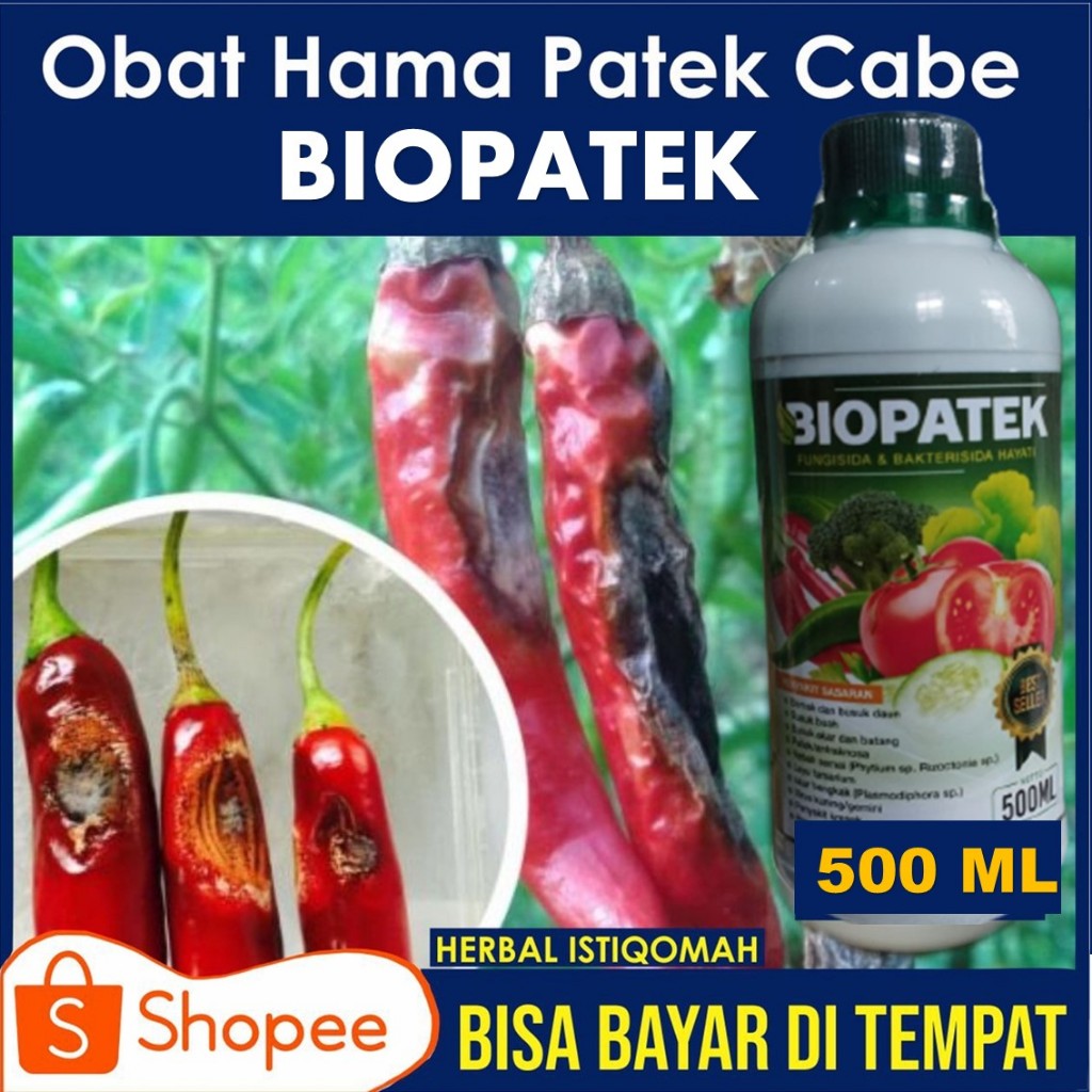 Jual OBAT HAMA PATEK CABE Organik Terbaik 500ml BIOPATEK FUNGISIDA ...