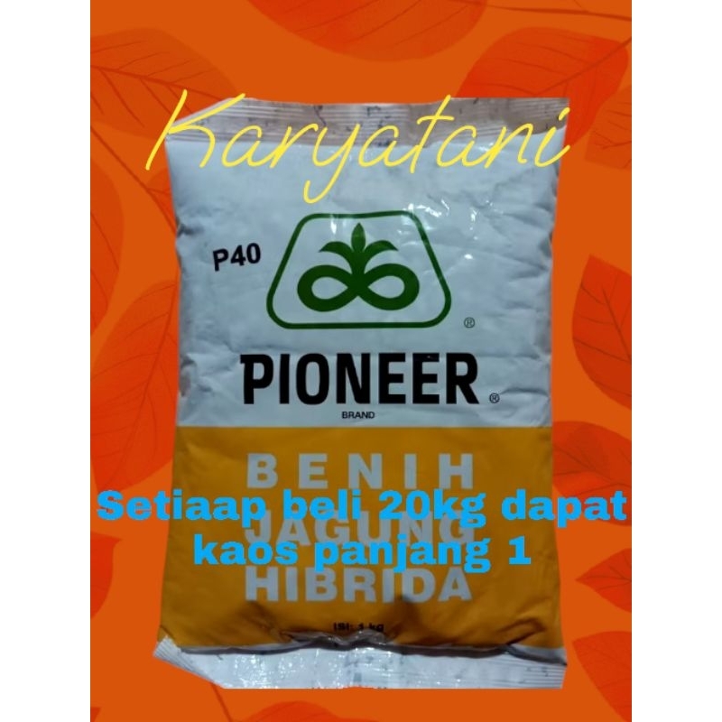 Jual Benih jagung p40 1kg Bibit jagung pioner p 40 original Benih ...