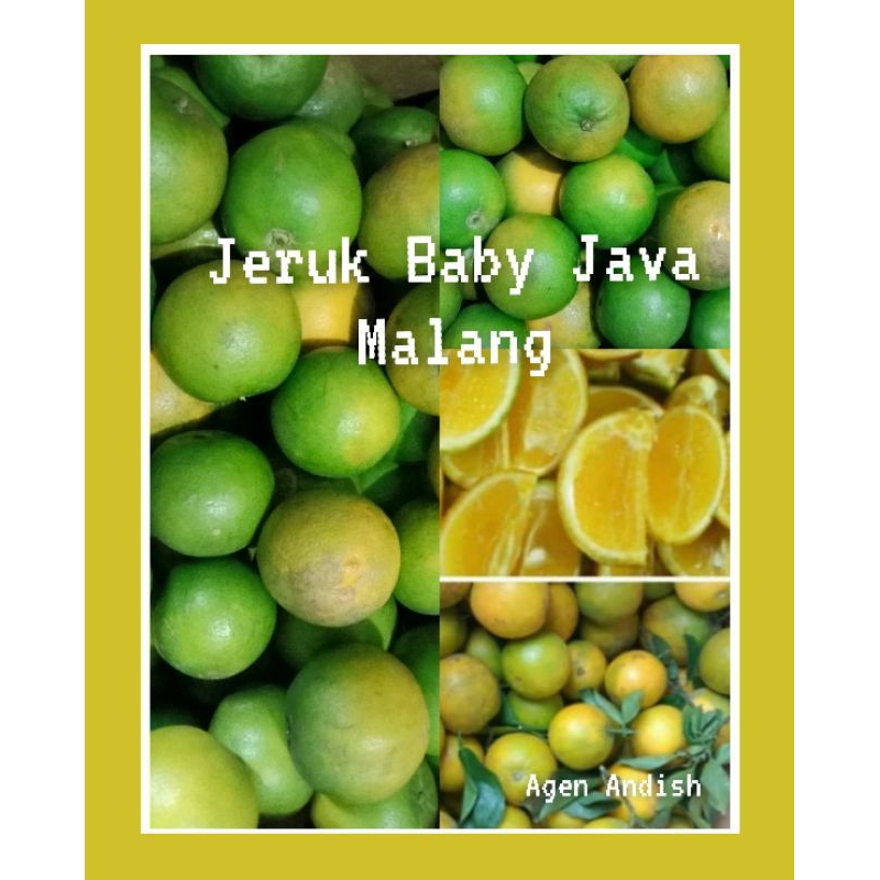 Jual Jeruk Baby Java Malang Fresh 1Kg (Size&Kulit MIX) bisa buat MPASI ...