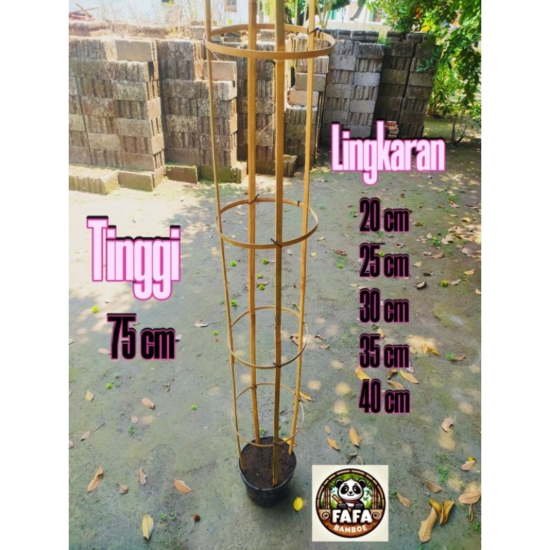 Jual Turus Bambu Melingkar 1 Set / Ajir Penyangga Tanaman Rambat ...