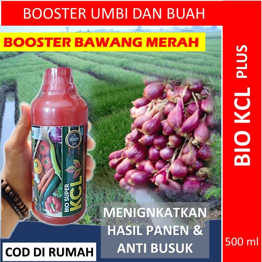 Jual pupuk booster bawang merah bio kcl plus 500 ml - pupuk bawang merah cair terbaik - pupuk ...