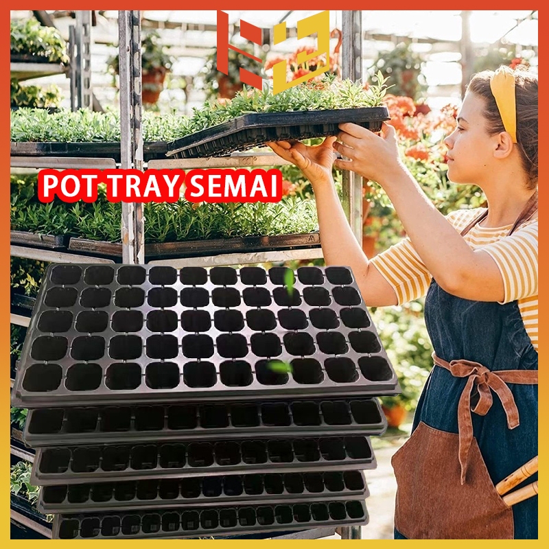 Jual Seedling Pot - 21 / 32 / 50 / 72 / 105 / 128 / 200 Lubang/Pot Tray ...