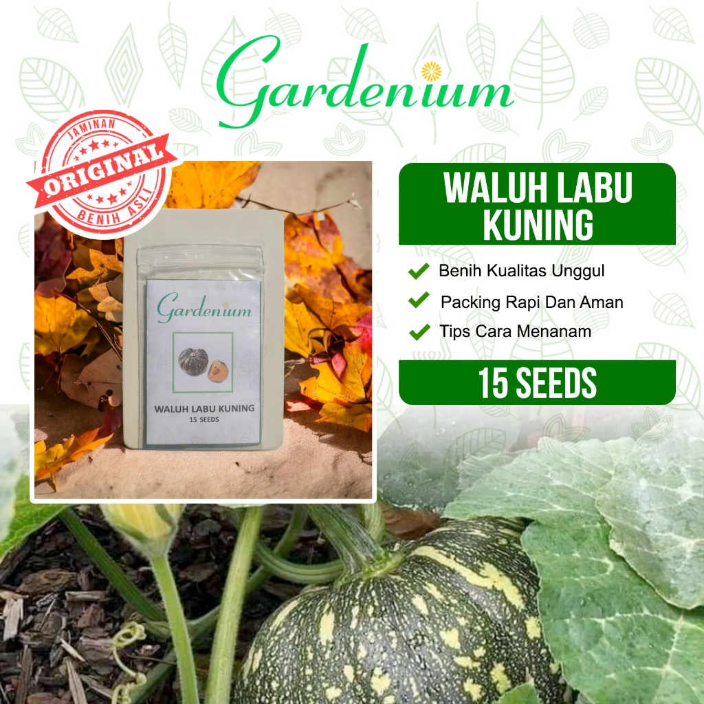 Jual GARDENIUM Benih Waluh Labu Kuning Buah Unggul | Shopee Indonesia