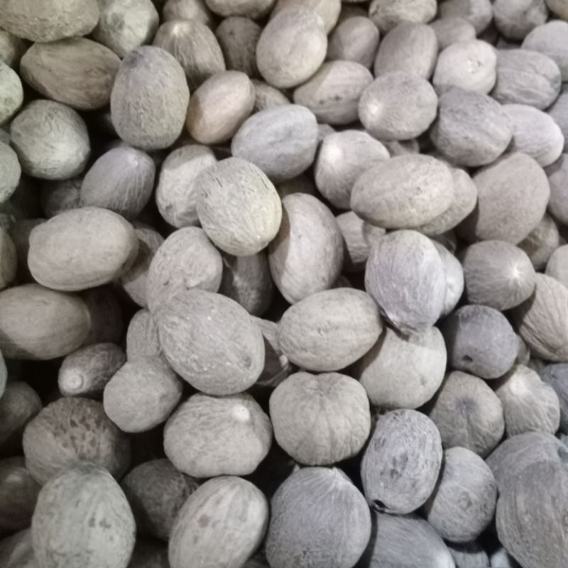 Jual Biji Pala Bulat (Utuh)/Nutmeg Whole Ukuran Sedang 250 gram ...