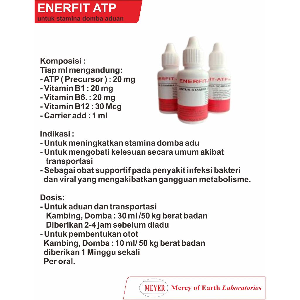 Jual Enerfit ATP Oral Meyer 30 mL - Obat Stamina Domba Adu | Shopee ...