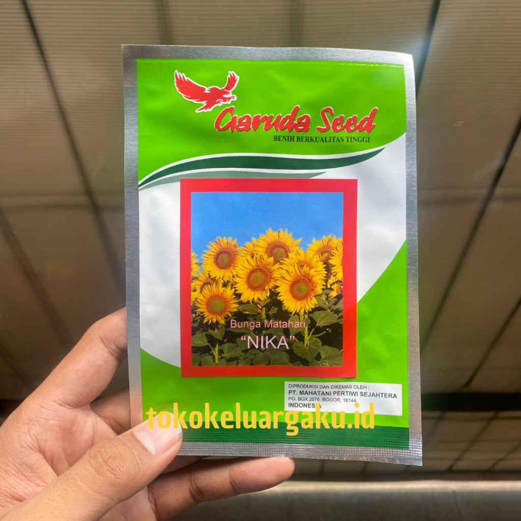 Jual BENIH BIBIT BUNGA MATAHARI "NIKA" isi 5 GRAM - GARUDA SEED Kemasan ...
