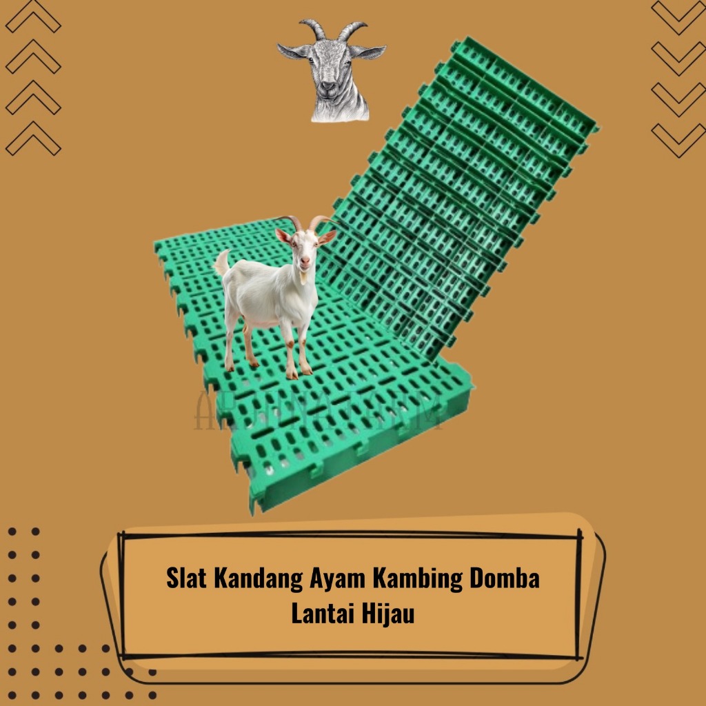 Jual Slat Alas Kandang Kambing Ayam Domba Lantai Pijakan Domba Modern Ternak Hijau | Shopee ...