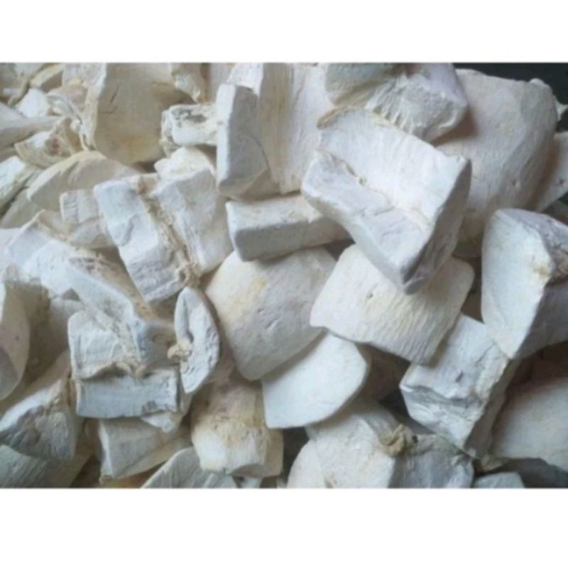 Jual Gaplek singkong putih 500g | Shopee Indonesia