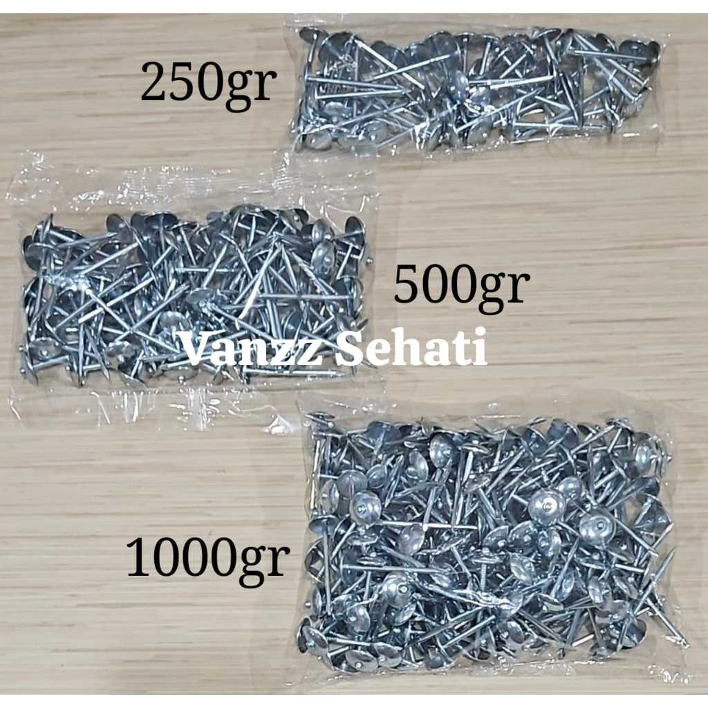 Jual Paku Seng Ukuran 2 Inch / Paku Payung / Roofing Nails | Shopee ...