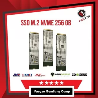 Jual SSD NVME 256 GB Terlengkap & Harga Terbaru Juni 2025 | Shopee ...