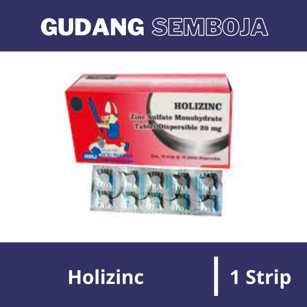 Jual Holizinc Strip Isi 10 Tablet / Zinc Sulfate / Pelengkap Obat Diare ...