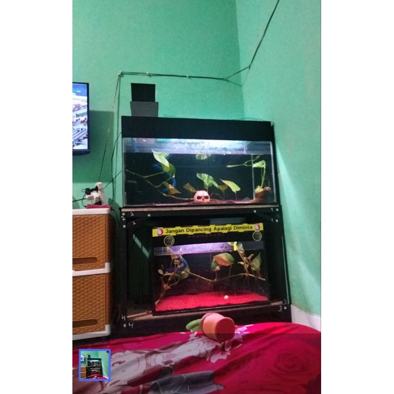 Jual Rak aquarium P50cm L30cm T70cm 2 susun | Rak custom | Rak besi ...