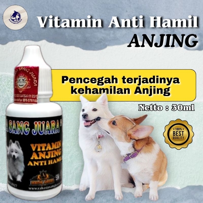 Jual Obat Anti Hamil Anjing Betina 30ml - Mencegah Kehamilan dan ...