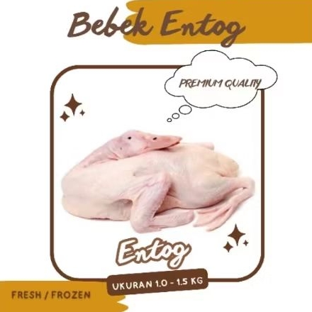 Jual DAGING BEBEK ENTOG 1.0 - 1.5 KG PAKAI KEPALA KAKI | Shopee Indonesia