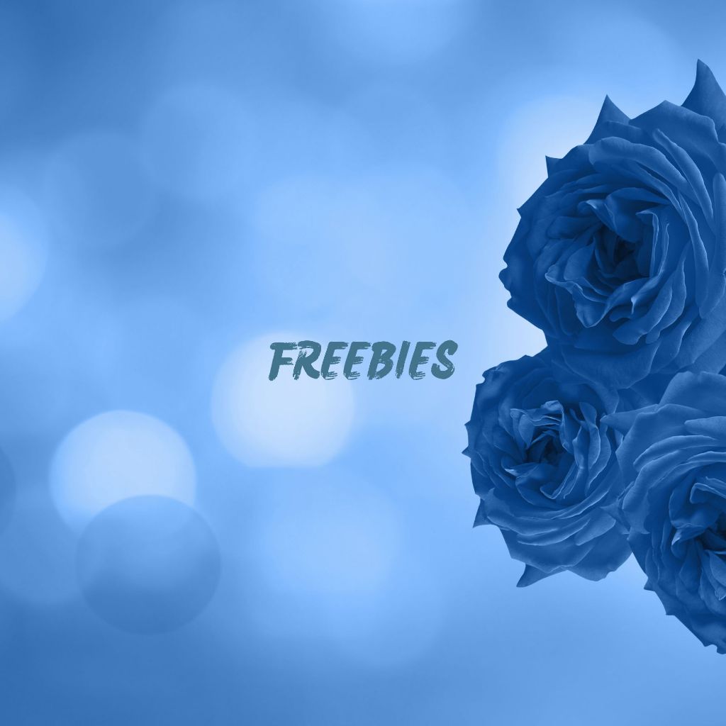 Jual freebies online ZEROBASEONE timeless world | Shopee Indonesia