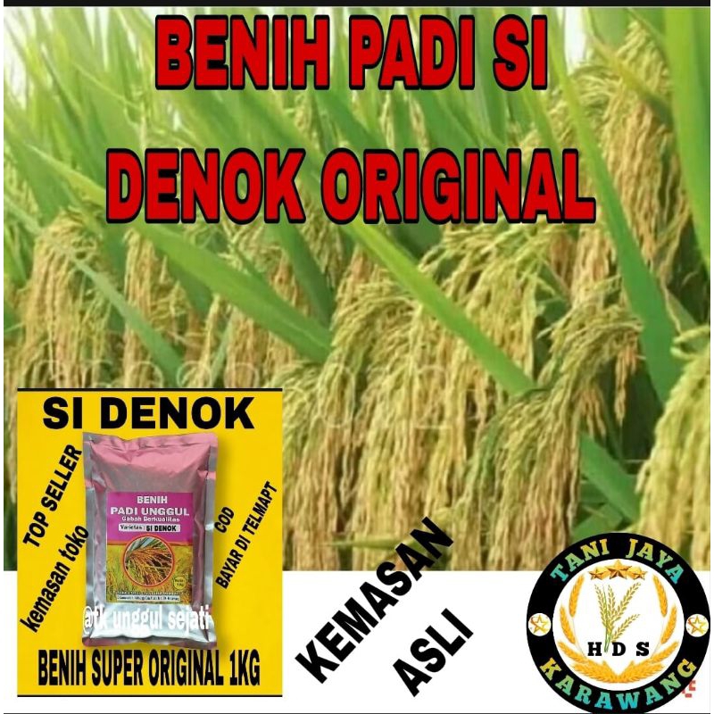 Jual BENIH PADI SI DENOK 1KG ORIGINAL KEMASAN ASLI TOKO ORIGINAL 100% ...