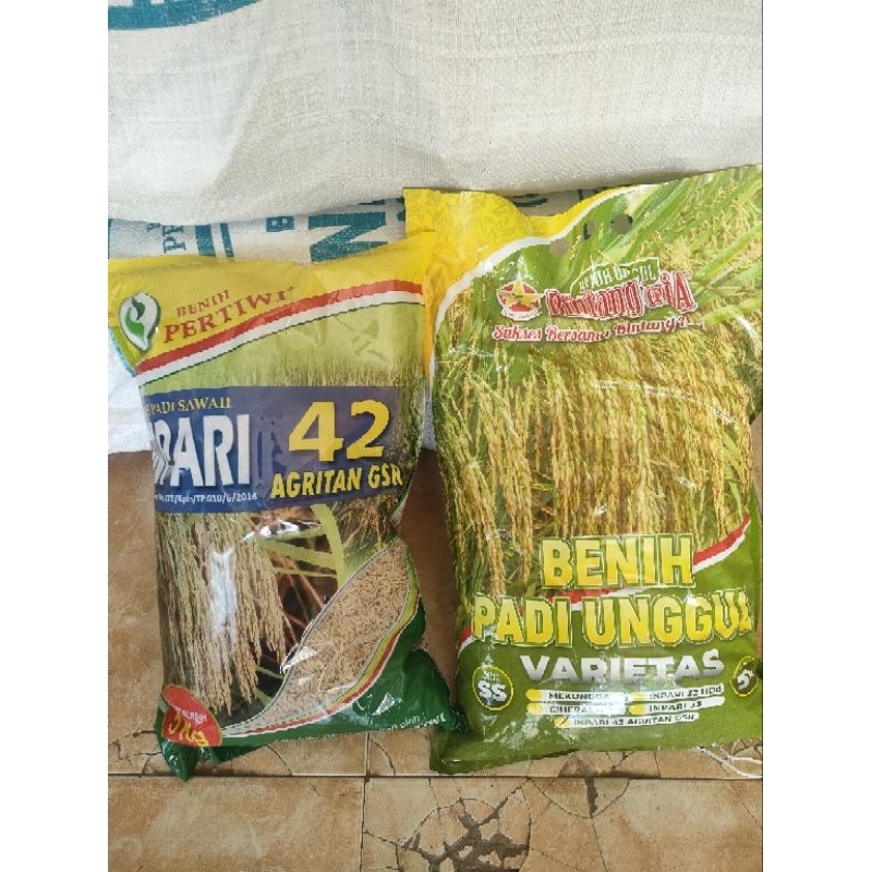 Jual Padi Premium INPARI 42 dan 32 PERTIWI 5KG | Shopee Indonesia