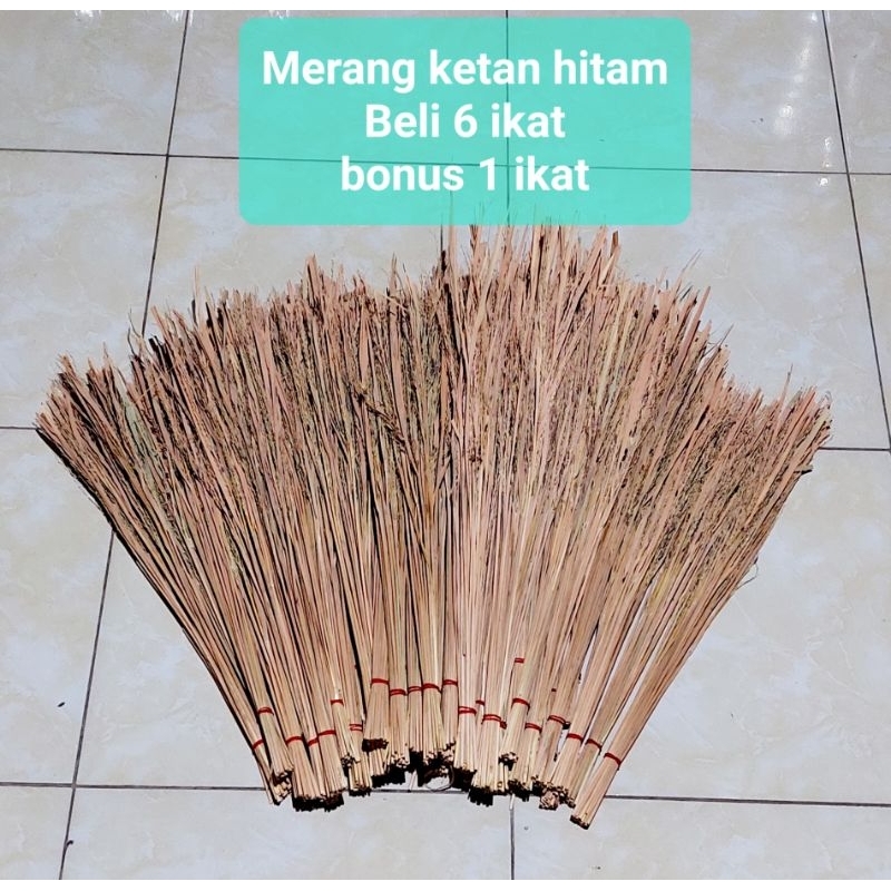 Jual Merang padi ketan hitam ASLI isi 25 batang | Shopee Indonesia