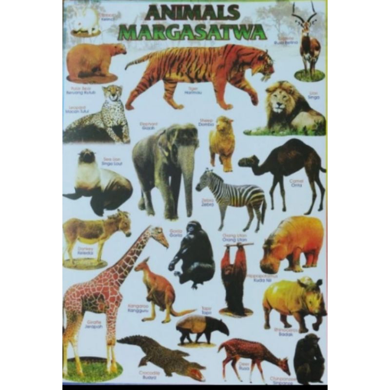 Jual poster tempel dinding | Shopee Indonesia