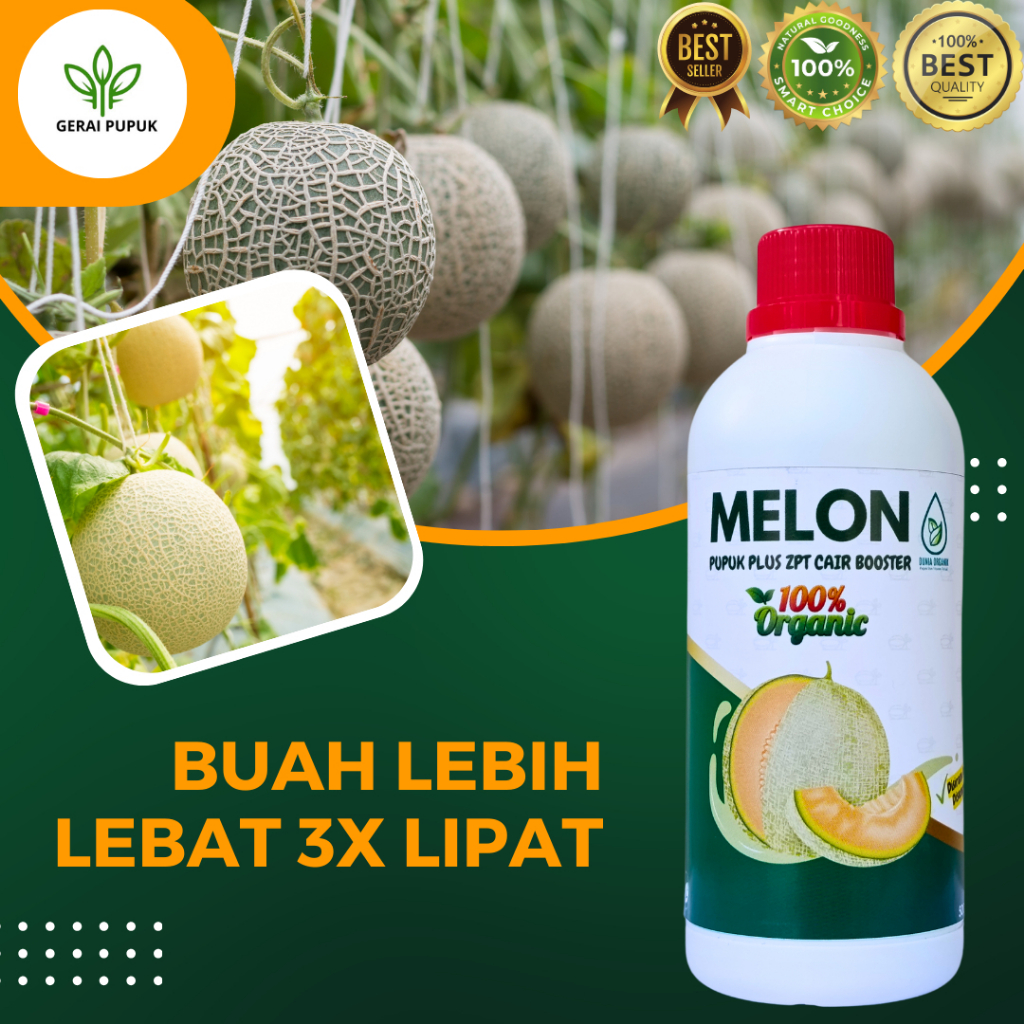 Jual pupuk organik cair tanaman buah melon | pupuk melon cair hidroponik booster pembesar cepat ...