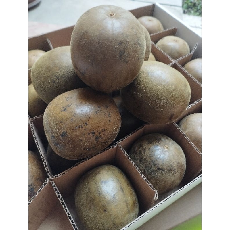 Jual lohankuo 10 buah/ luo han guo buah kering/ monk fruit lohanko ...