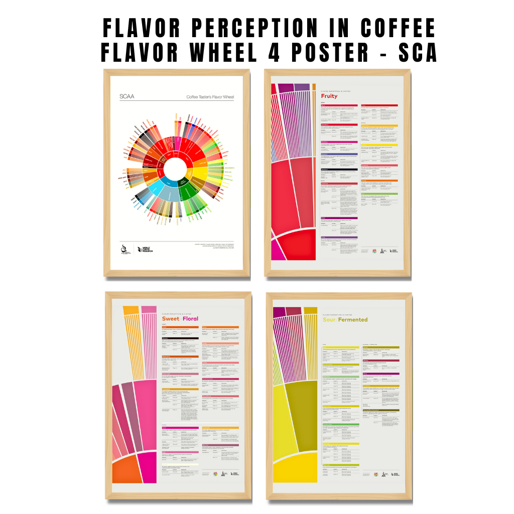 Jual SCA POSTER FRAME KOPI RODA RASA FLAVOR PERCEPTION COFFEE PAKET 4 ...