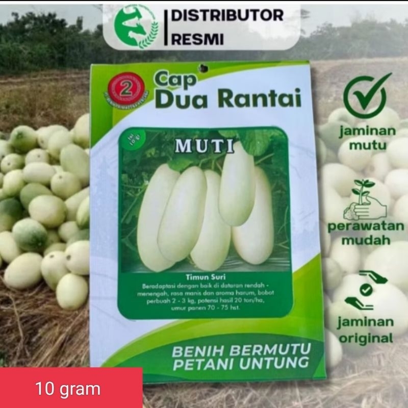 Jual Benih/bibit unggul Timun suri putih madu MUTI isi 10 gram | Shopee Indonesia