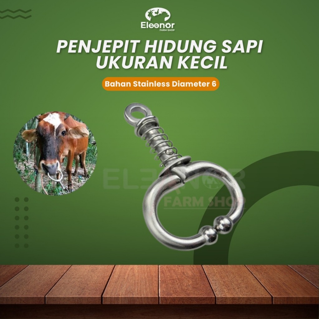 Jual Cincin Sapi Penjepit Hidung Sapi Pedet Ukuran Kecil Diameter 6 Cm ...