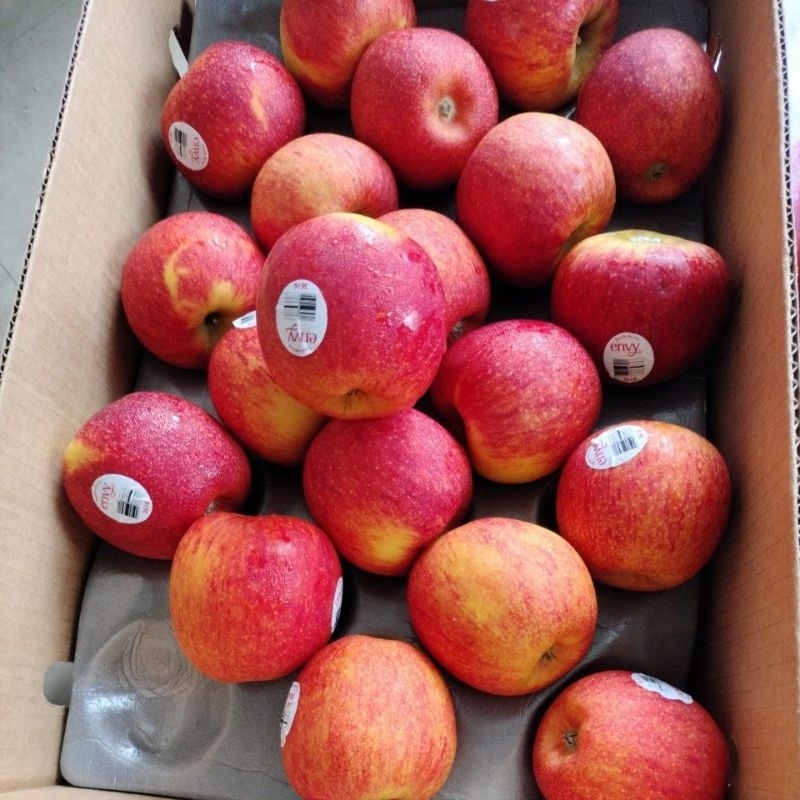 Jual apel envy jual per 1 kg | Shopee Indonesia