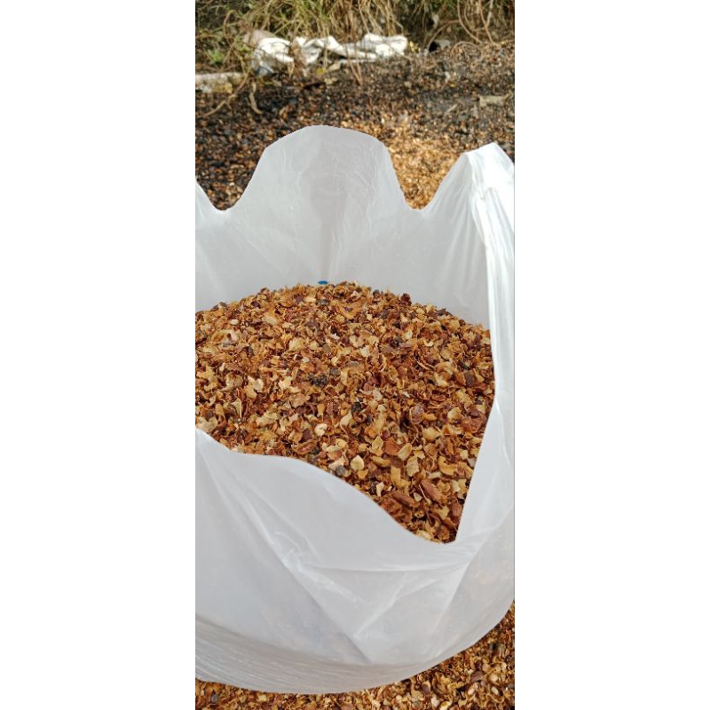 Jual kulit kupas ari kopi robusta kering 1 kg | Shopee Indonesia
