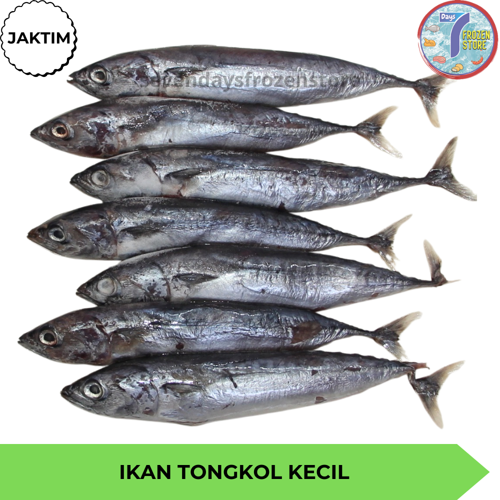 Jual Ikan Tongkol Kecil | Deho Utuh Beku Frozen 1 Kg | Shopee Indonesia