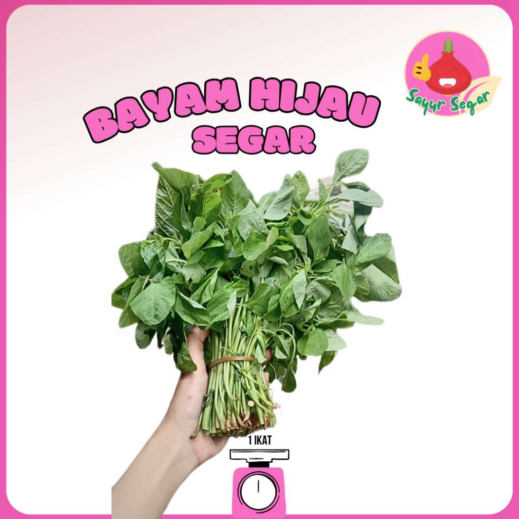 Jual Sayur Segar - Bayam Hijau Segar / Green Spinach 1 Ikat | Shopee ...