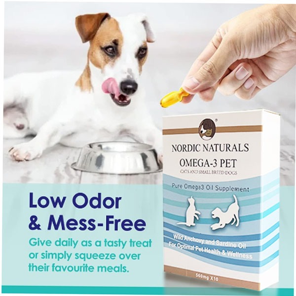 Jual Omega3 Fish Oil Supplement Capsules Vitamin Dog & Cat Supplement ...