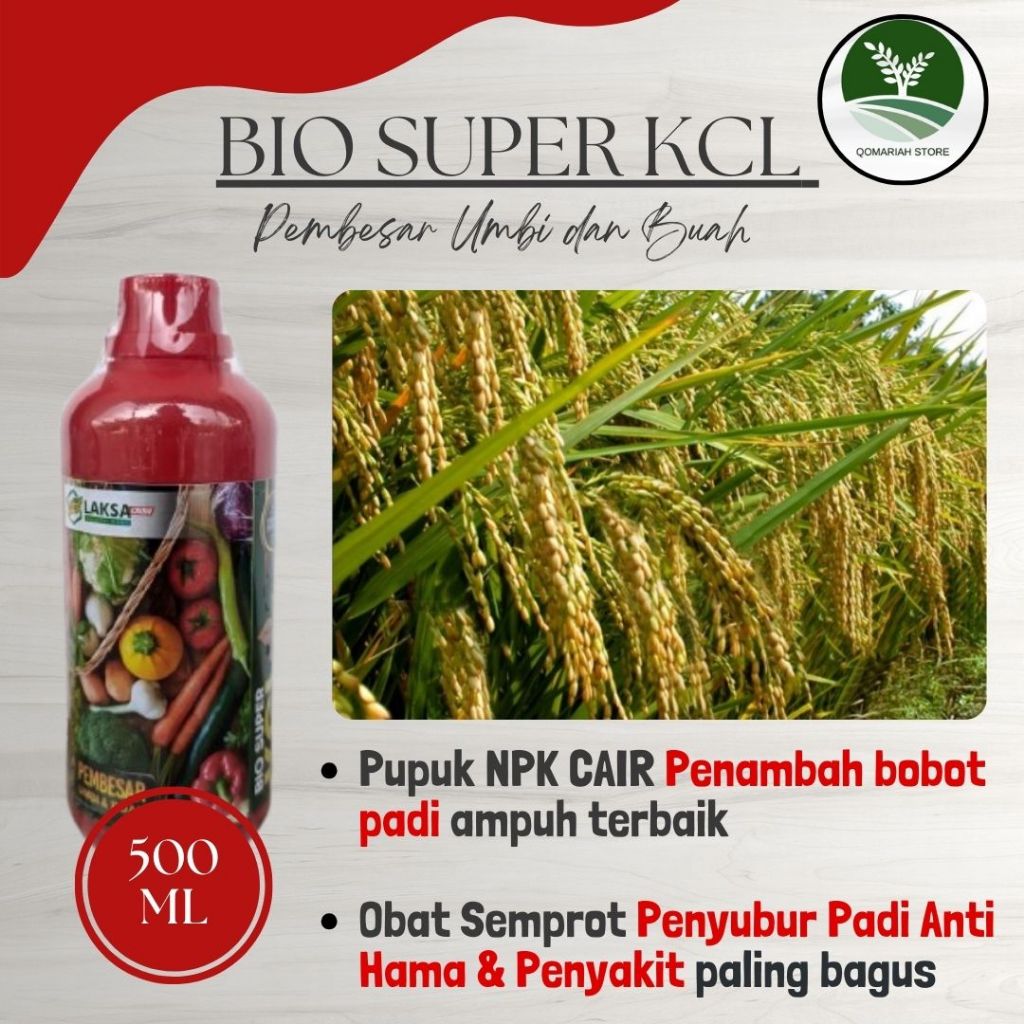 Jual BIO SUPER KCL 500ML Pupuk pelebat penyubur buah bulir padi ...