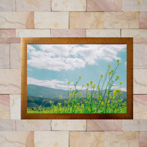 Jual Bingkai Frame Figura Foto Ijazah A4 ( 21x30 cm ) POLOS | Shopee ...