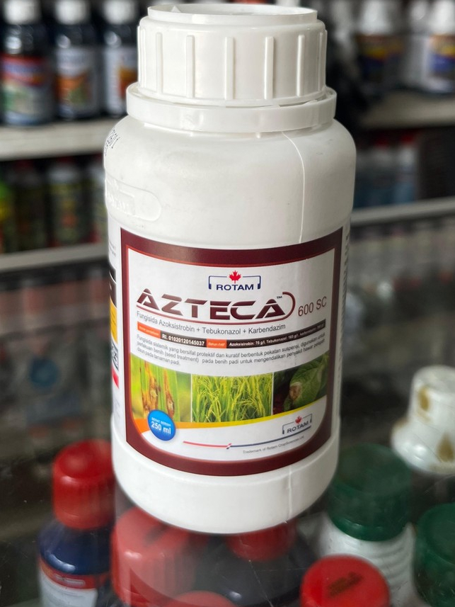 Jual AZTECA 600 SC 250 ML FUNGISIDA | Shopee Indonesia
