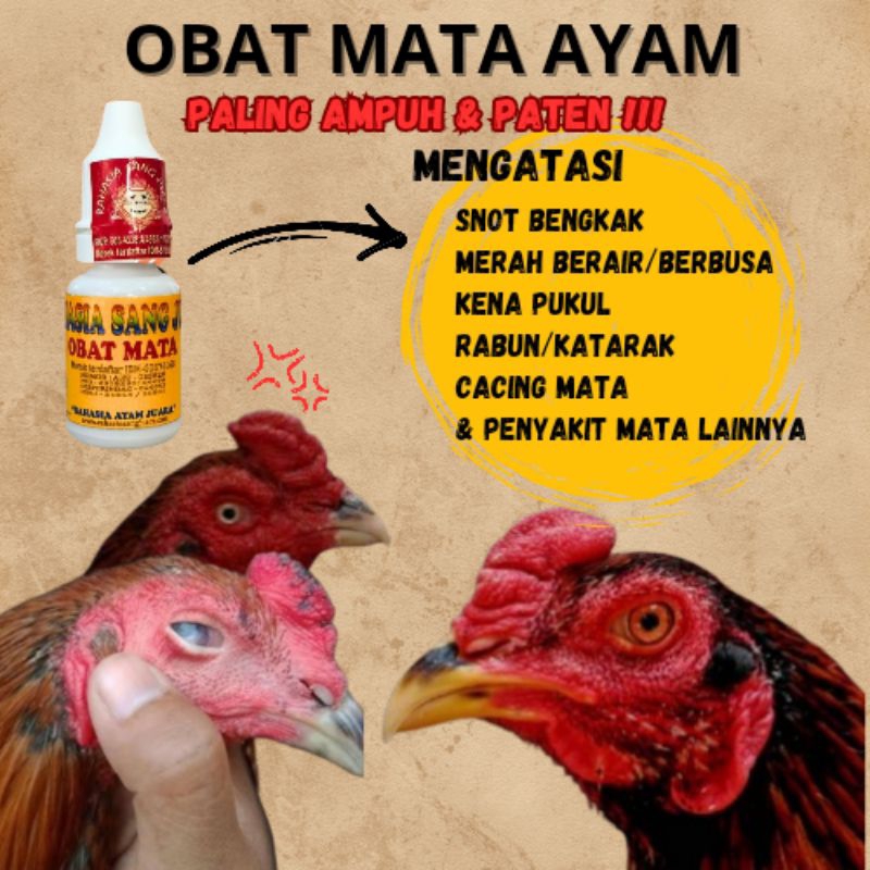 Jual OBAT MATA AYAM OBAT MATA AYAM SNOT KATARAK OBAT MATA AYAM KENA ...