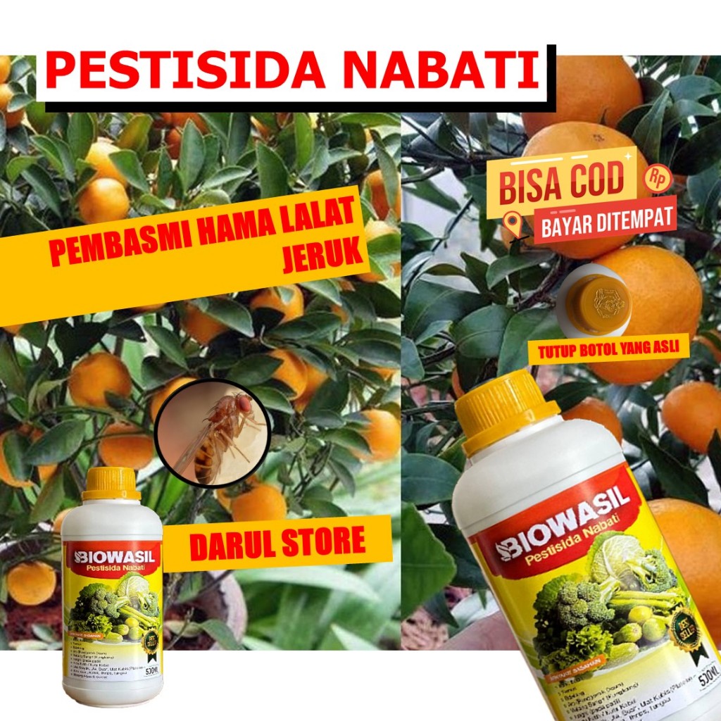 Jual Pupuk Hama Lalat Sayuran Jeruk Santang Madu BIOWASIL - Pupuk ...