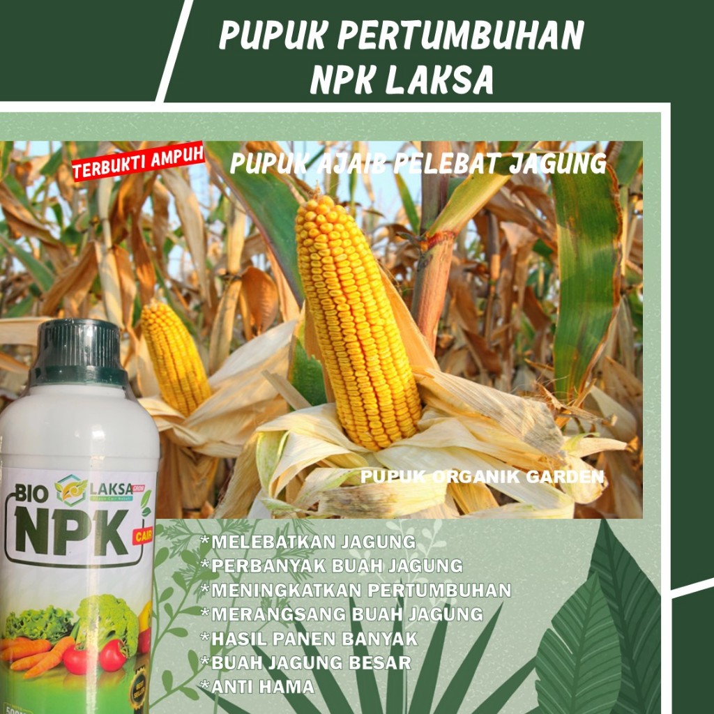 Jual PUPUK BOOSTER PEMBESAR BUAH JAGUNG HASIL PANEN LEBIH BANYAK PUPUK BIO NPK LAKSA - Pupuk ...