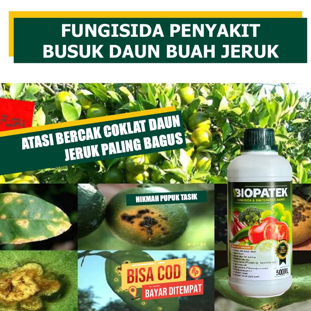 Jual REKOMENDED FUNGISIDA BUSUK DAUN JERUK PALING MANJUR BIOPATEK ISI ...