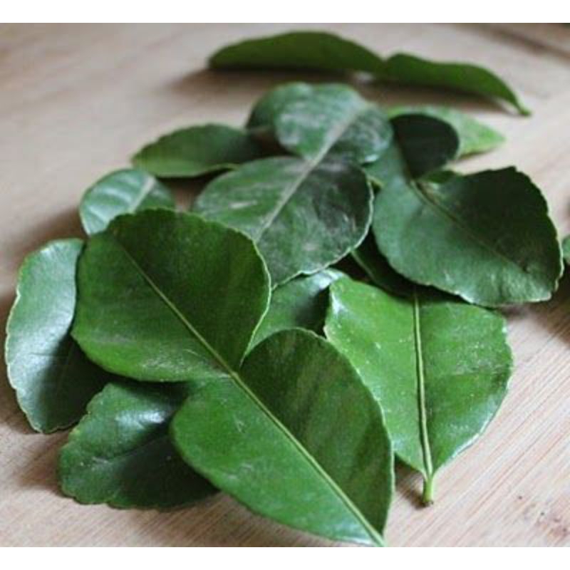 Jual Daun Jeruk Angka 8 Aseli per Pack | Shopee Indonesia