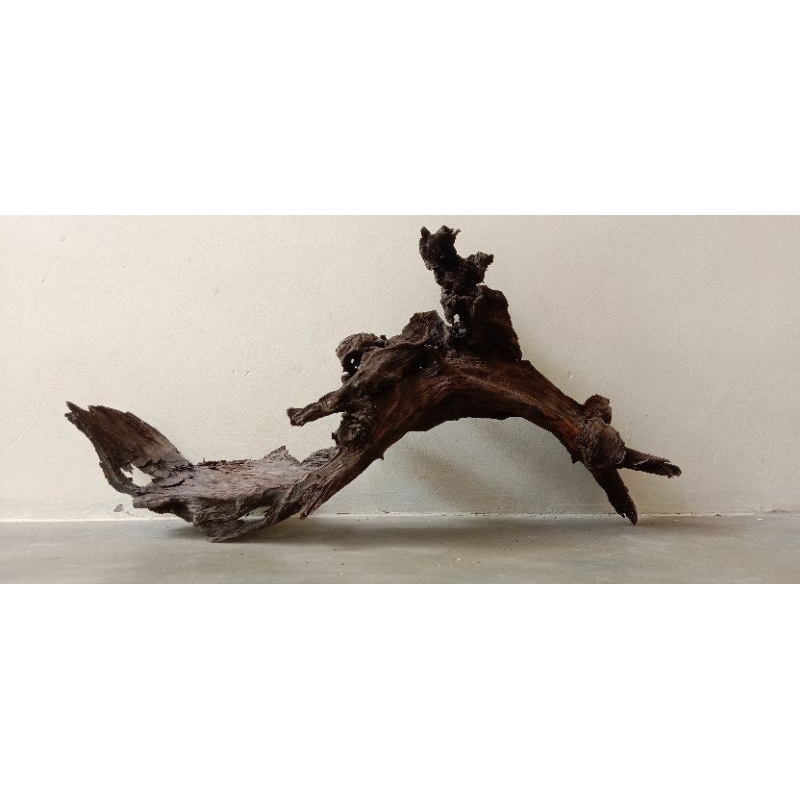 Jual kayu aquascape /aquarium/kayu black dragon wood panjang 40-50cm ...