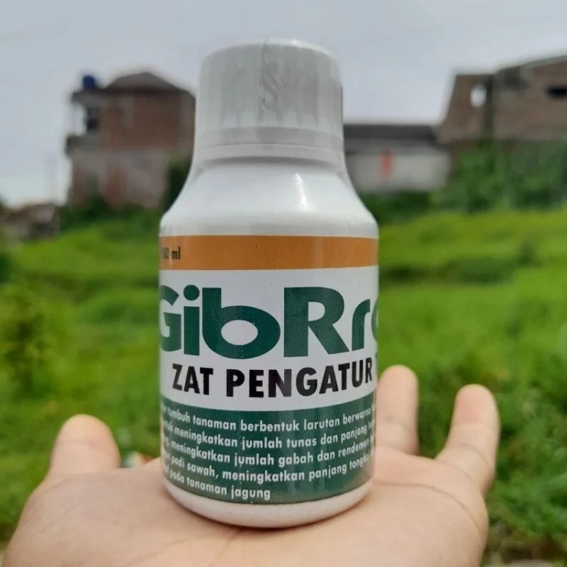 Jual ZPT GIBRO 20-SL 100 ML/ Pupuk Bahan Aktif Asam Gibberellat 20% ...