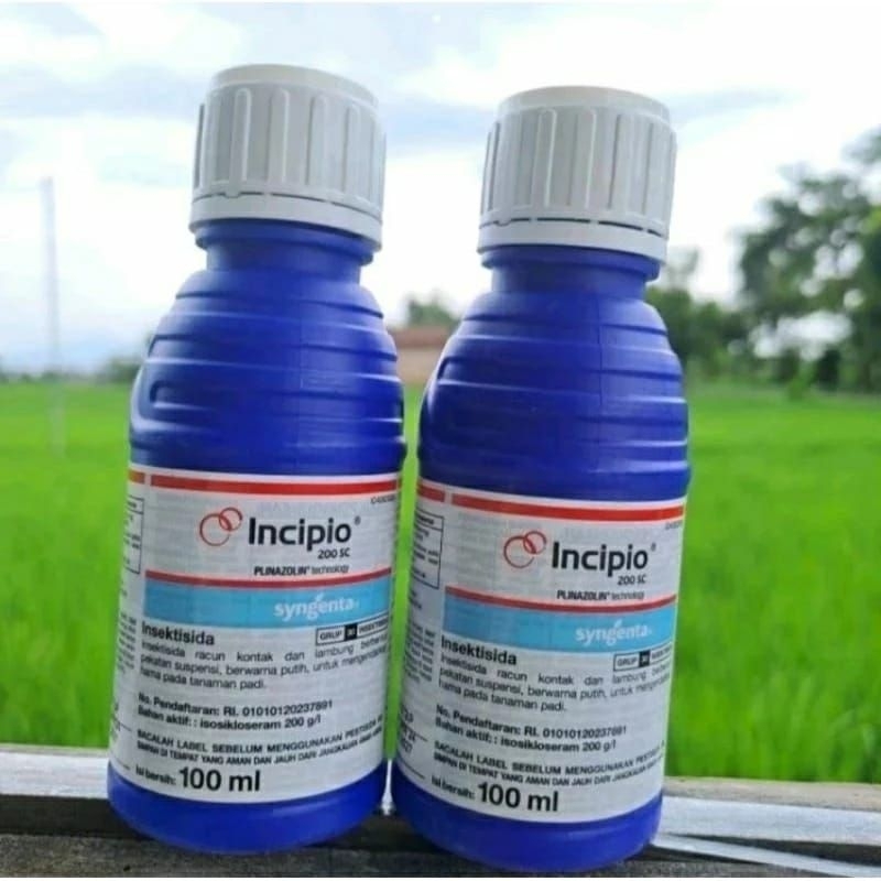 Jual insektisida incipio 200sc 100ml | Shopee Indonesia