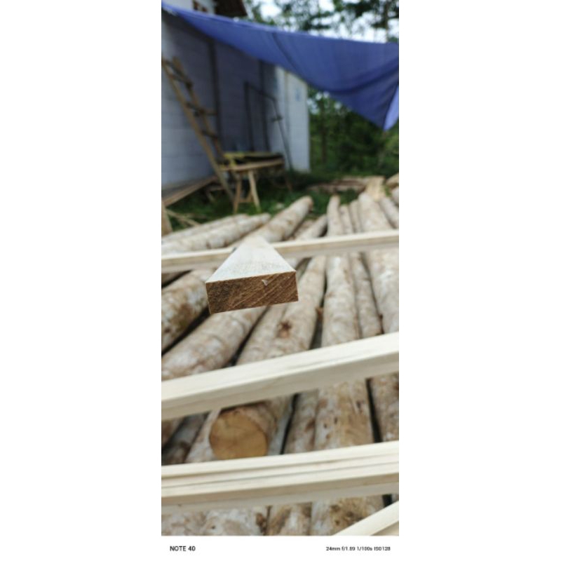 Jual LIST KAYU RENG 1X3 PANJANG 100CM | Shopee Indonesia