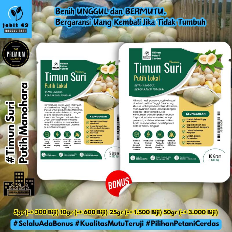 Jual JaBit - 10gr Benih Unggul Timun Suri Manohara Lokal 500+ Biji ...