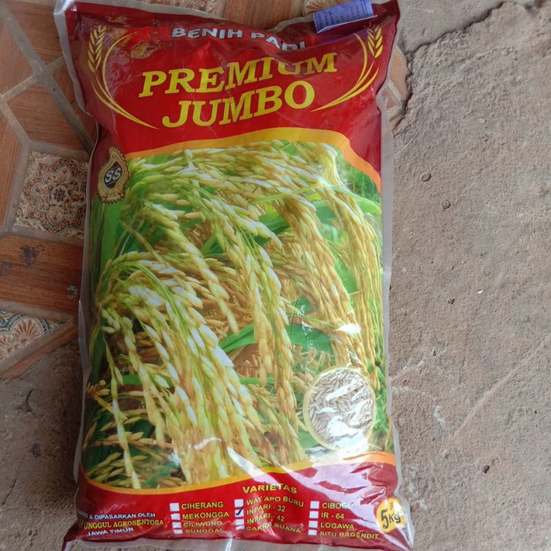Jual Benih Padi PREMIUM JUMBO Vairetas INPARI 32 5kg | Shopee Indonesia
